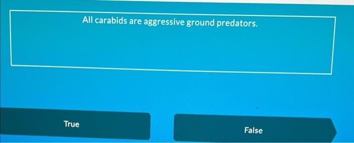 The weevil's elongated rostrum is designed to promote | Chegg.com