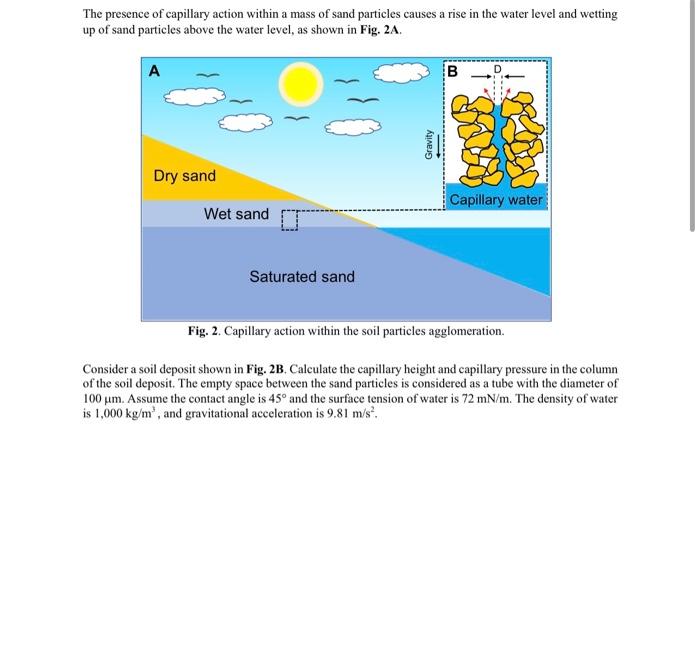 Solved The presence of capillary action within a mass of | Chegg.com