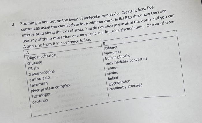 Solved 2. Zooming in and out on the levels of molecular | Chegg.com