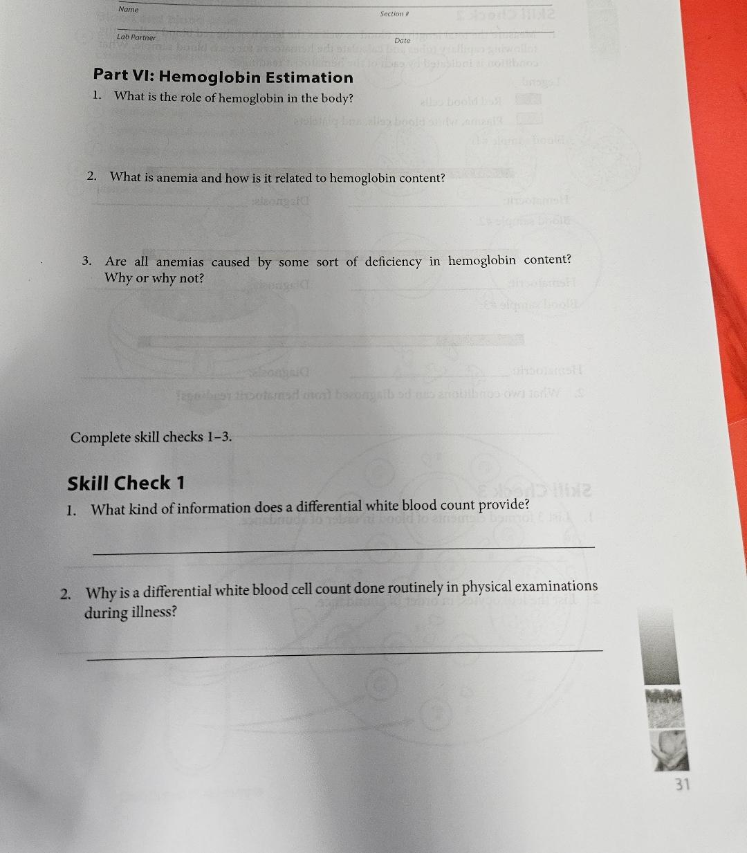 Solved NameSection 8Lab PartnerDatePart VI: Hemoglobin | Chegg.com