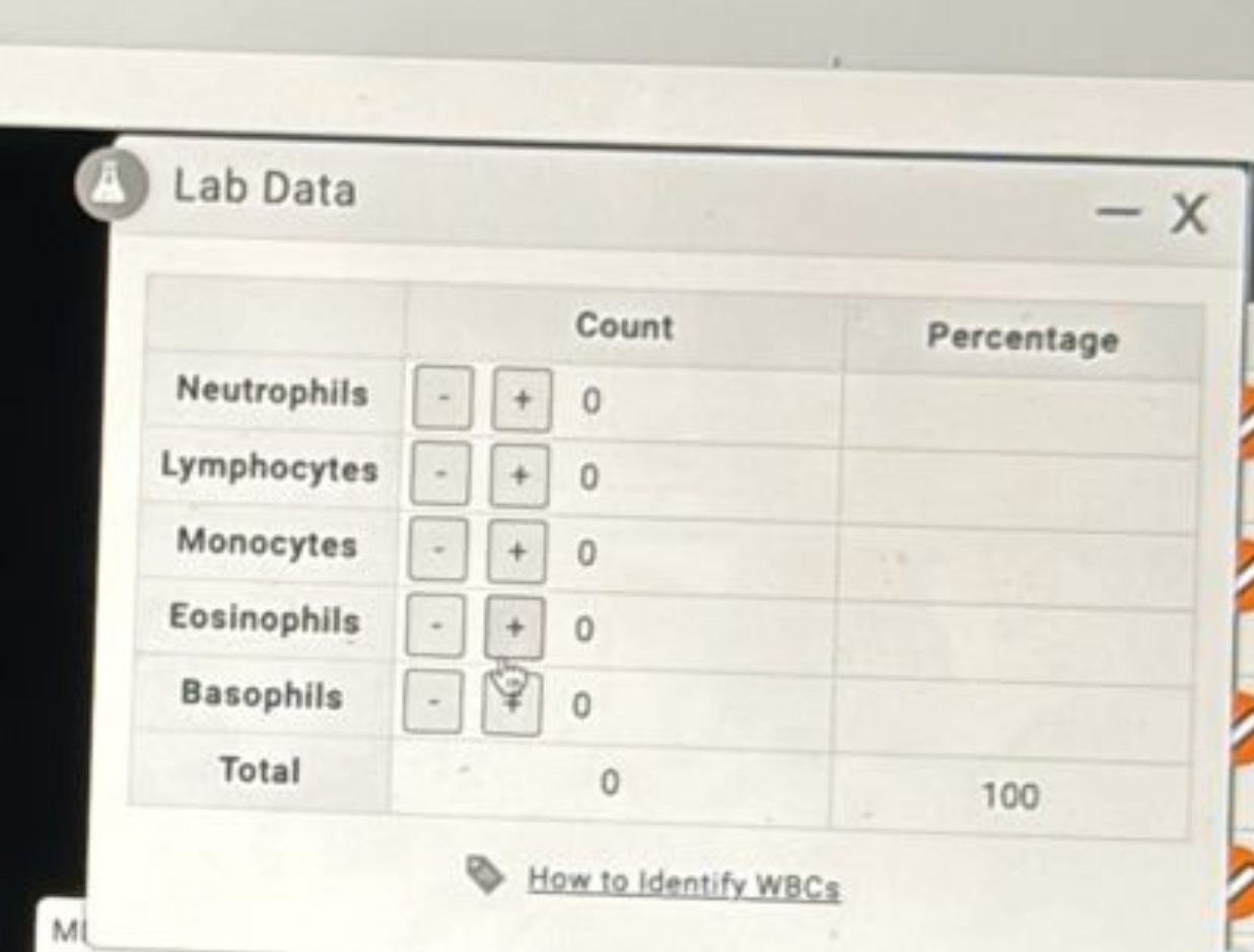 Solved (A) ﻿Lab | Chegg.com