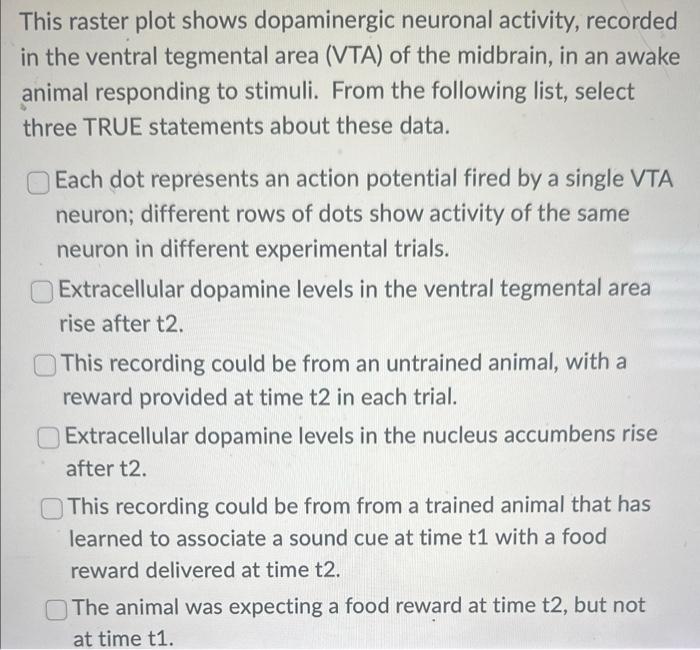 Solved This raster plot shows dopaminergic neuronal | Chegg.com