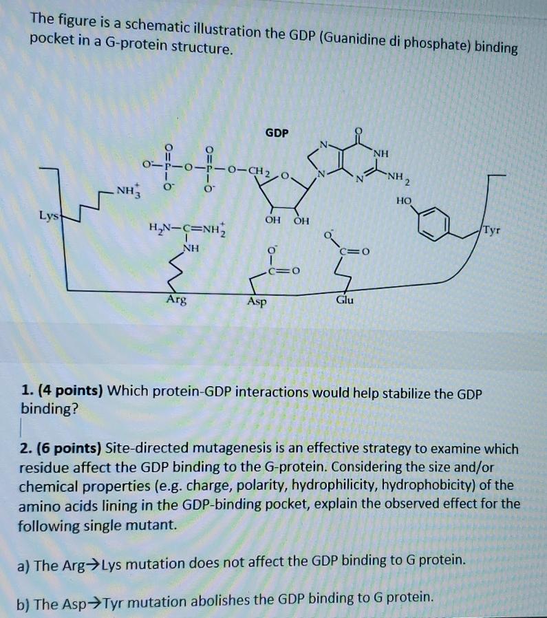 Solved The figure is a schematic illustration the GDP | Chegg.com