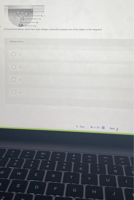 Solved In the picture above, which item is an antigen | Chegg.com