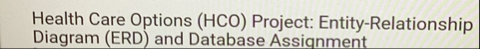 Health Care Options (HCO) ﻿Project: | Chegg.com