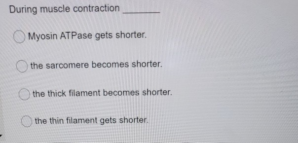 Solved Phasically contracted muscles in the digestive tract | Chegg.com