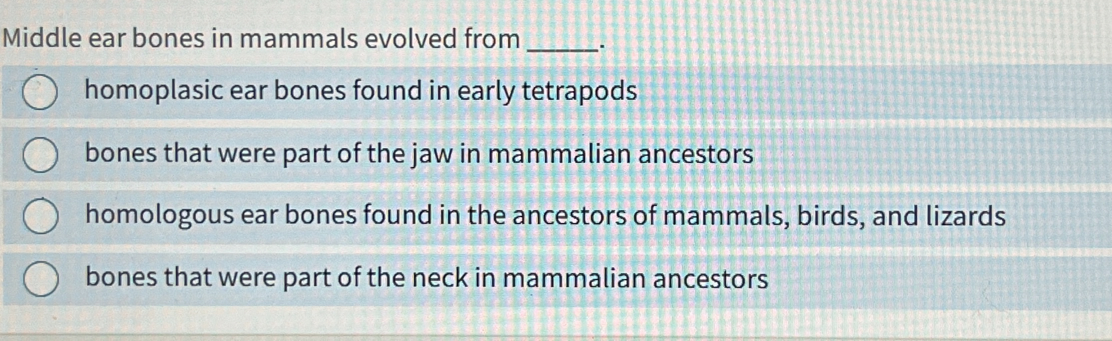 Solved Middle ear bones in mammals evolved fromhomoplasic | Chegg.com