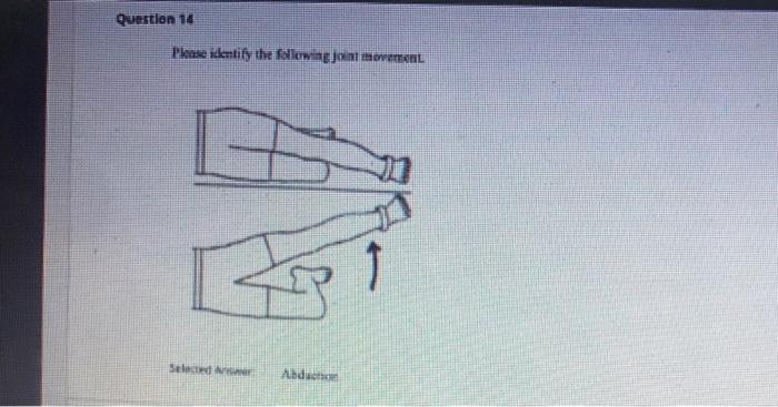 Solved Question 14 Please identify the following joitat | Chegg.com