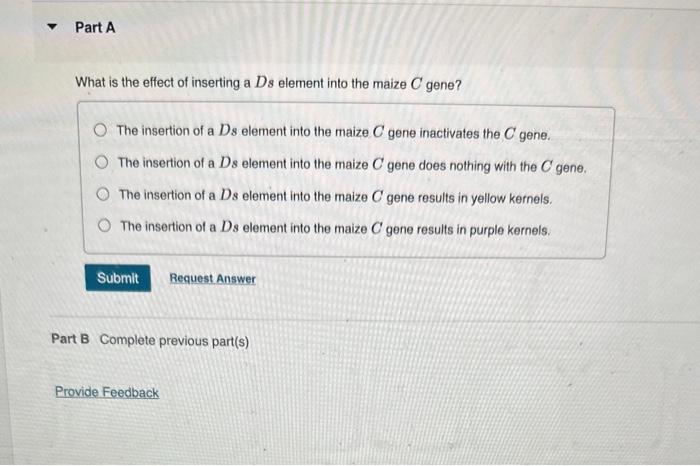 Solved What is the effect of inserting a D s element into | Chegg.com