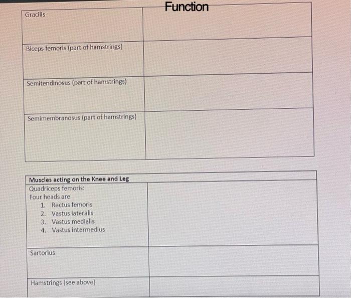 Solved \begin{tabular}{|l|l|} \hline Gracilis & Function \\ | Chegg.com