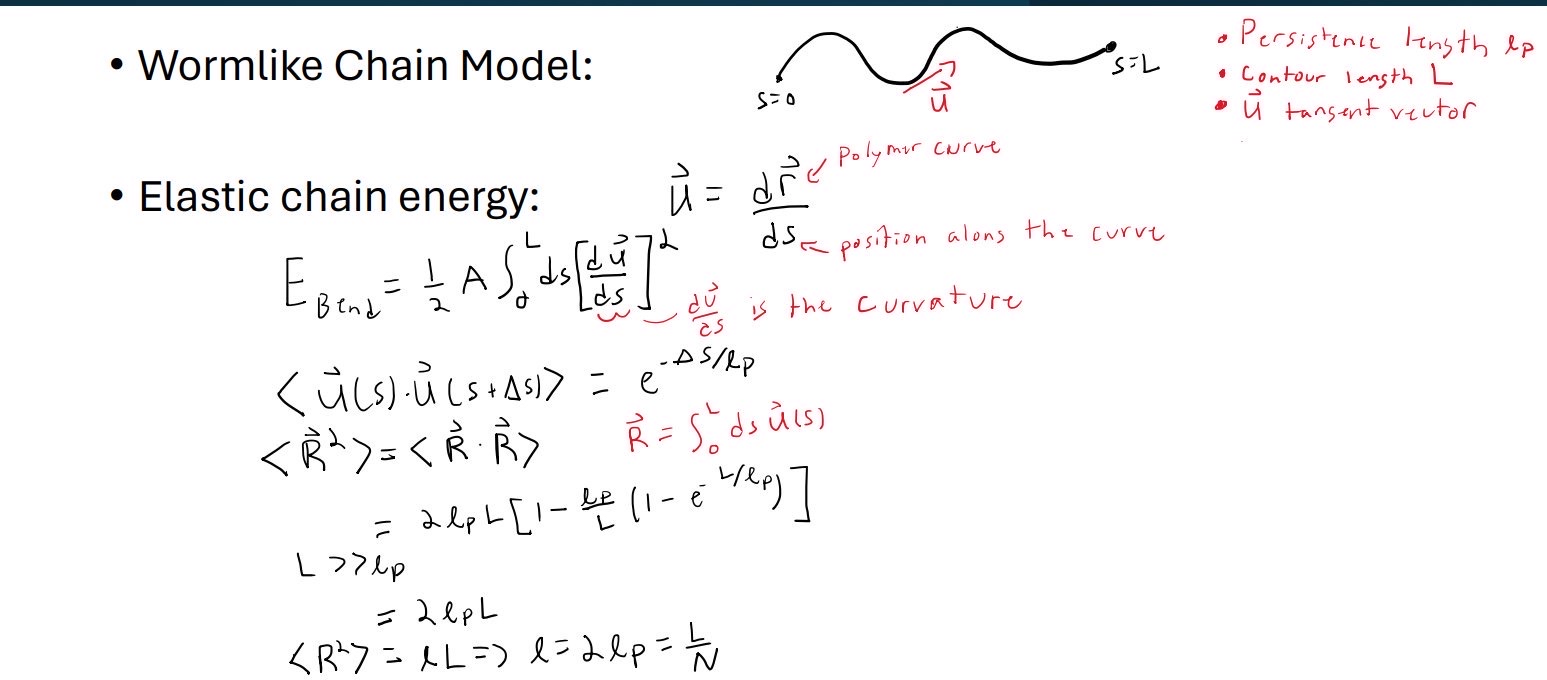 Solved Wormlike Chain Model:Persistence Iensth lpContour | Chegg.com