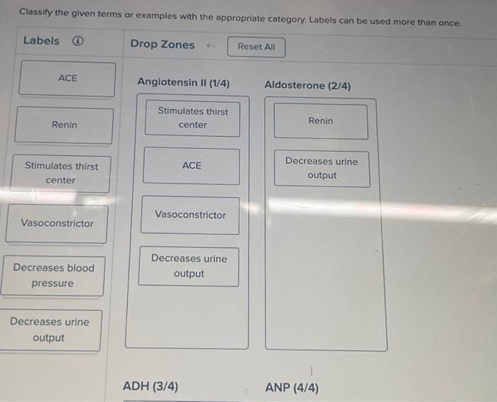Solved Classify the given terms or examples with the | Chegg.com