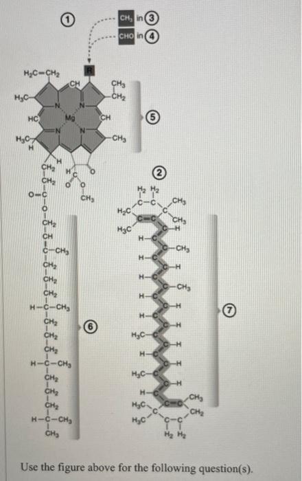 [Solved]: Use the figure above for the following question(s