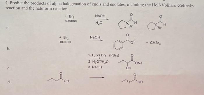 Solved 4. Predict the products of alpha halogenation of | Chegg.com