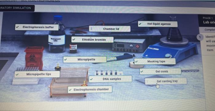 PHASE 1: Lab orientation Complete the following | Chegg.com