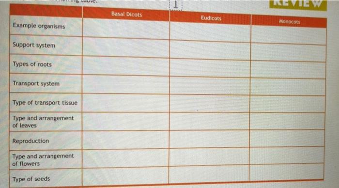 Solved C. IN Basal Dicots Eudicots Monocots Example | Chegg.com