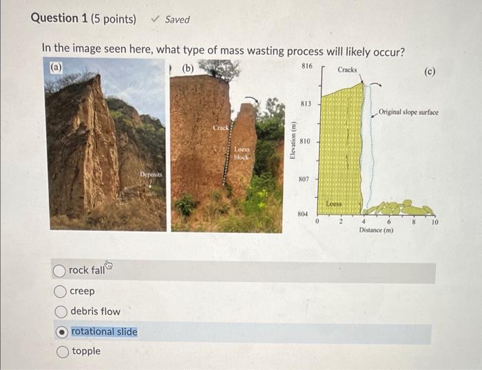 Solved Question 1 (5 points) Saved In the image seen here, | Chegg.com