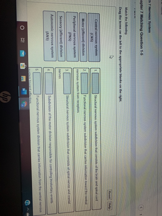 Solved ISL TIUNTIL Ch 7 Nervous System mapter 7 Matching | Chegg.com
