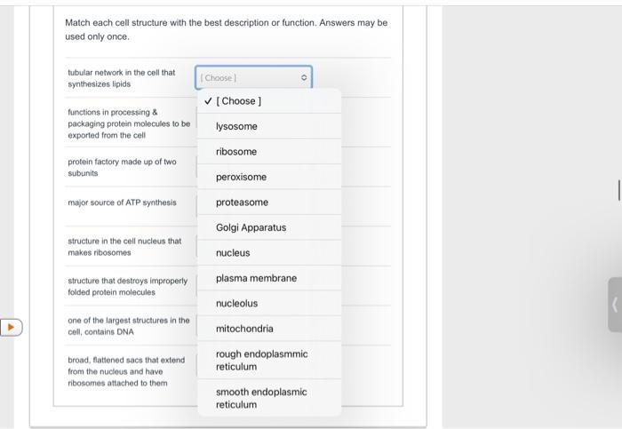Solved Match each cell structure with the best description | Chegg.com