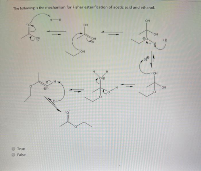 Solved The following is the mechanism for Fisher | Chegg.com