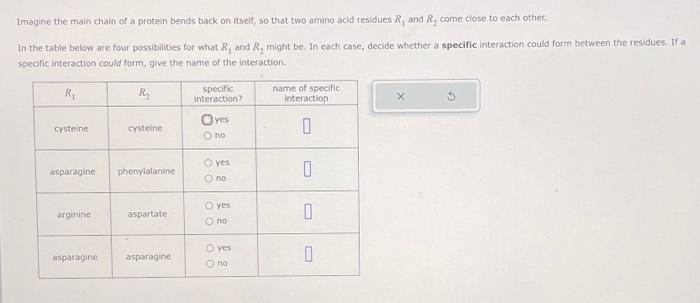 Solved Imagine the main chain of a protein bends back on | Chegg.com