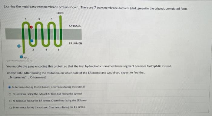 Solved Examine the multi-pass transmembrane protein shown. | Chegg.com