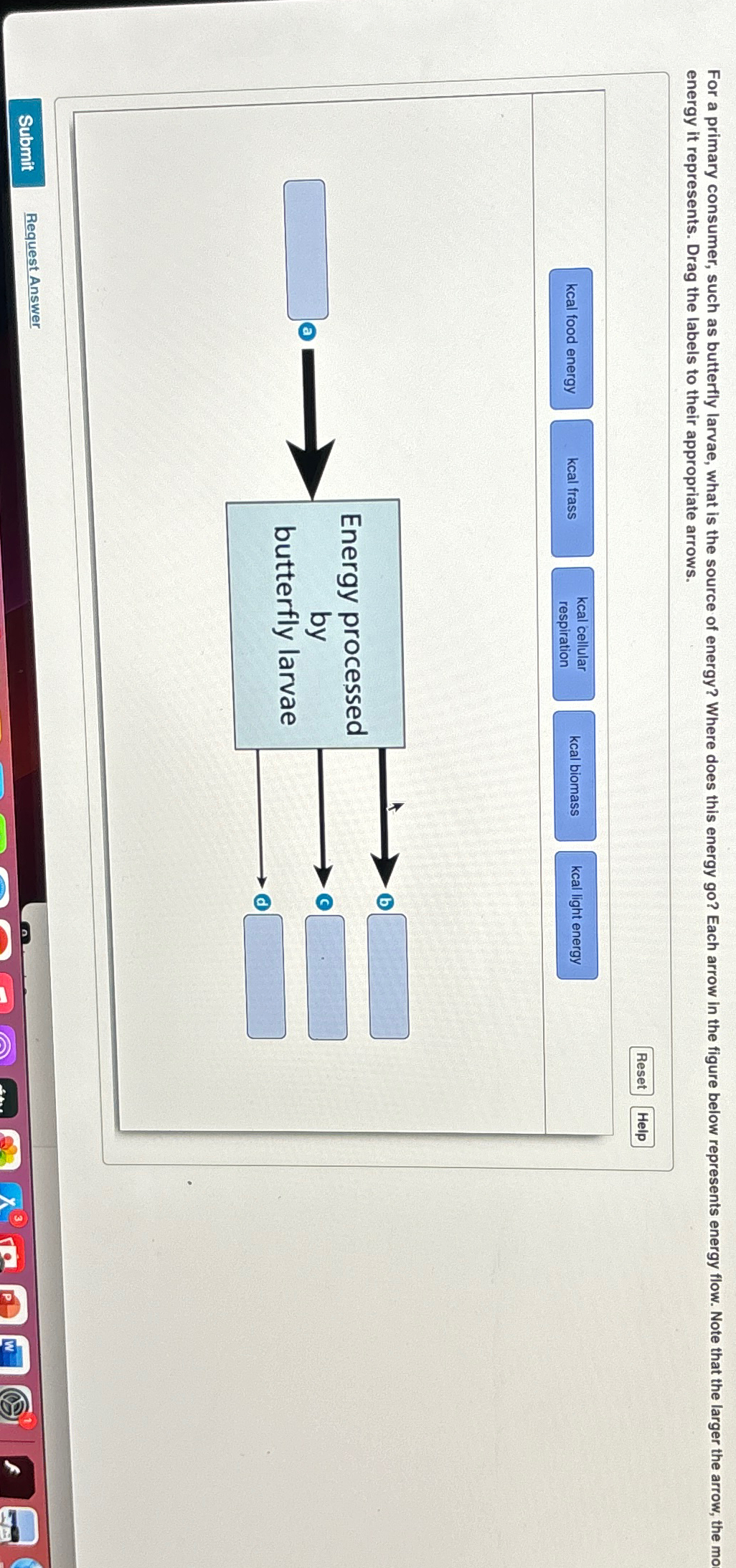 Solved energy it represents. Drag the labels to their | Chegg.com