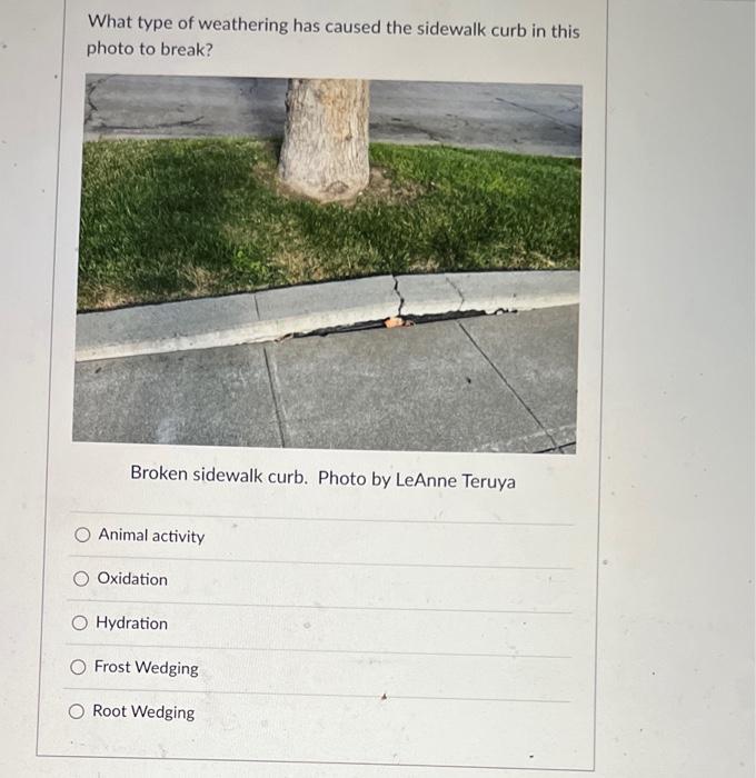 Solved What type of weathering has caused the sidewalk curb | Chegg.com