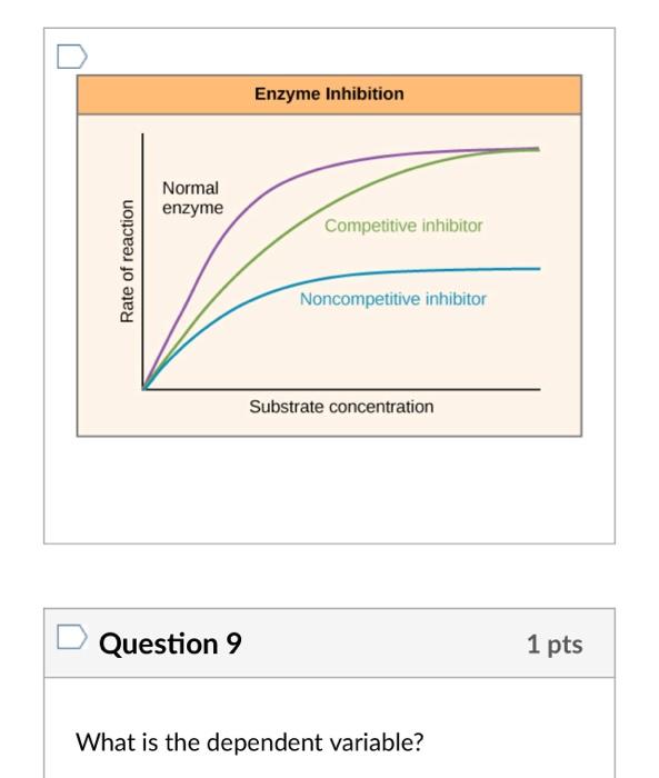 Solved Enzyme inhibition Normal enzyme Competitive inhibitor | Chegg.com