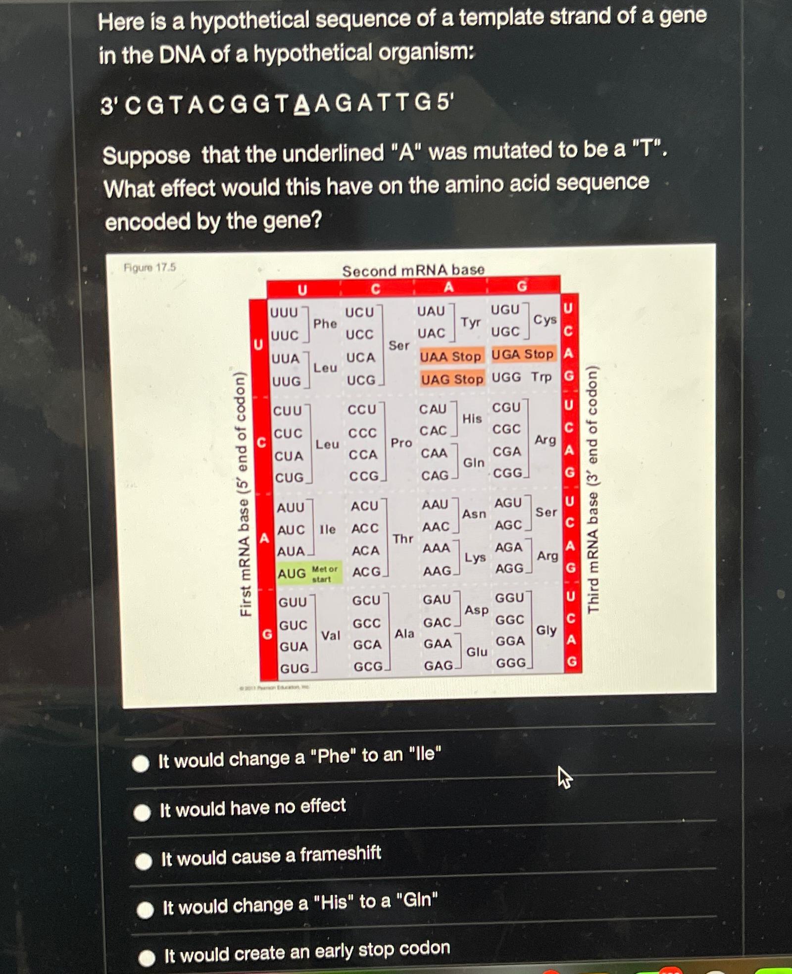 Solved Here is a hypothetical sequence of a template strand | Chegg.com