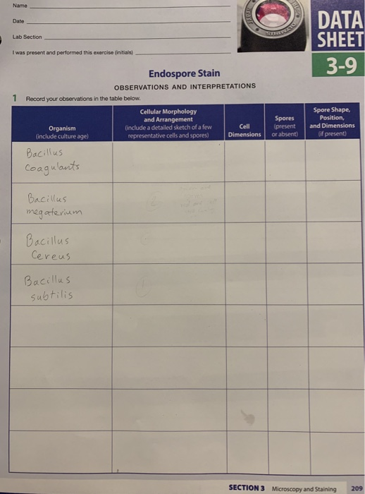 Solved Name Date Lab Section DATA SHEET 3-9 I was present | Chegg.com