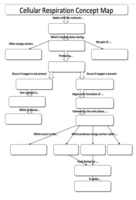 Cellular Respiration Concept Map With Answers