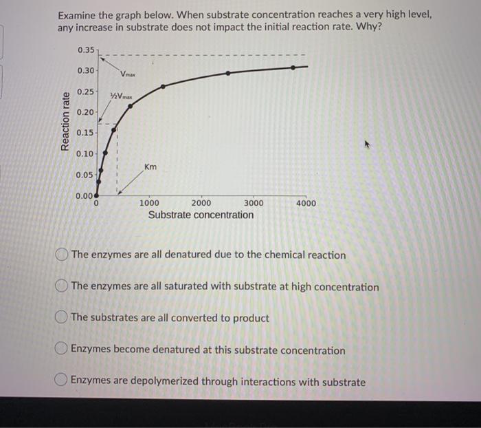 Solved Examine the graph below. When substrate concentration | Chegg.com