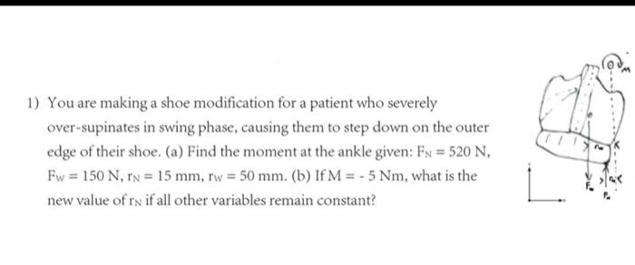 Solved 1) You are making a shoe modification for a patient | Chegg.com