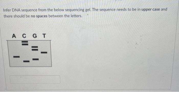 Solved Infer DNA sequence from the below sequencing gel. The | Chegg.com