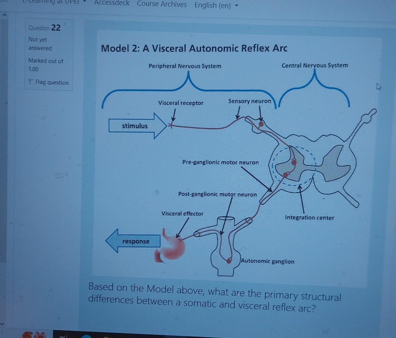 Solved ditrerences between a somatic and visceral reflex | Chegg.com