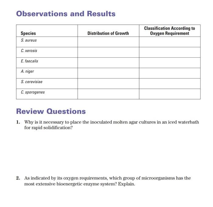 Solved Observations and Results Review Questions 1. Why is | Chegg.com