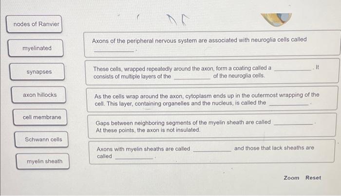 Solved Complete the sentences describing the insulation of | Chegg.com