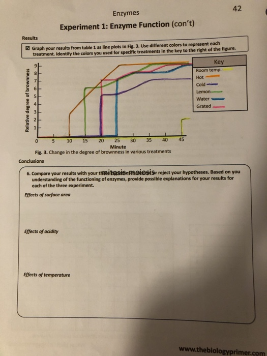 Solved Enzymes Experiment 1: Enzyme Function (con't) | Chegg.com