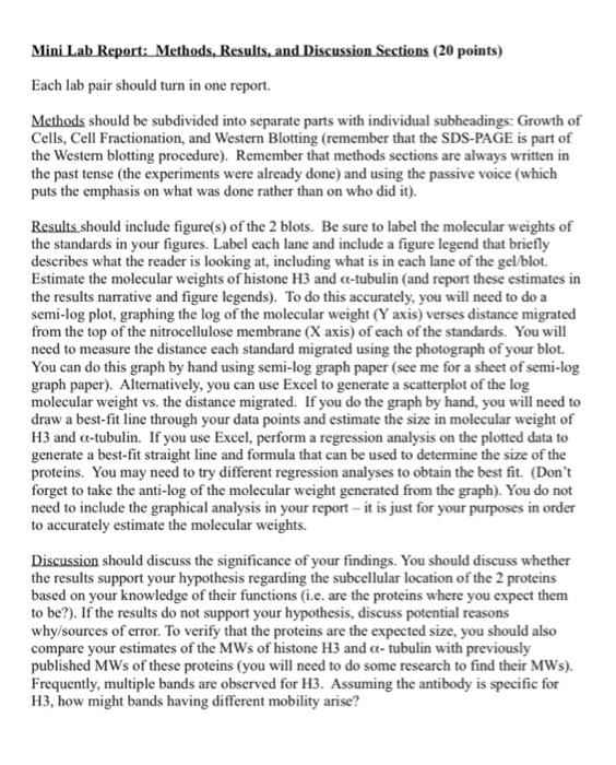 Solved Mini Lab Report: Methods, Results, and Discussion | Chegg.com