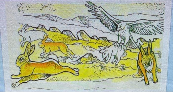 Solved Using the basic postulates of Charles Darwin's Theory | Chegg.com