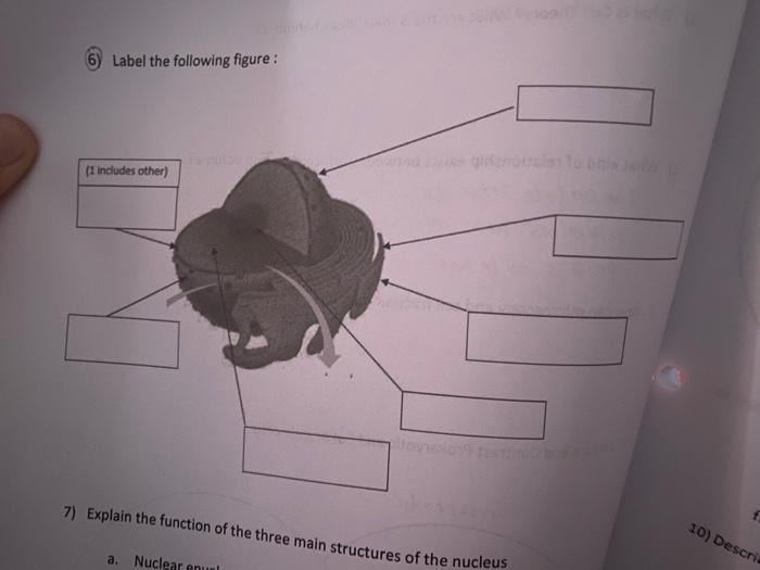 Solved Label the following figure : [includes other) los 7) | Chegg.com