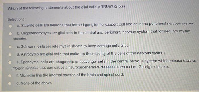 Solved Which of the following statements is TRUE about the | Chegg.com