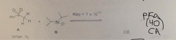 Solved whats the CB and CA? also whats the PKA of the | Chegg.com