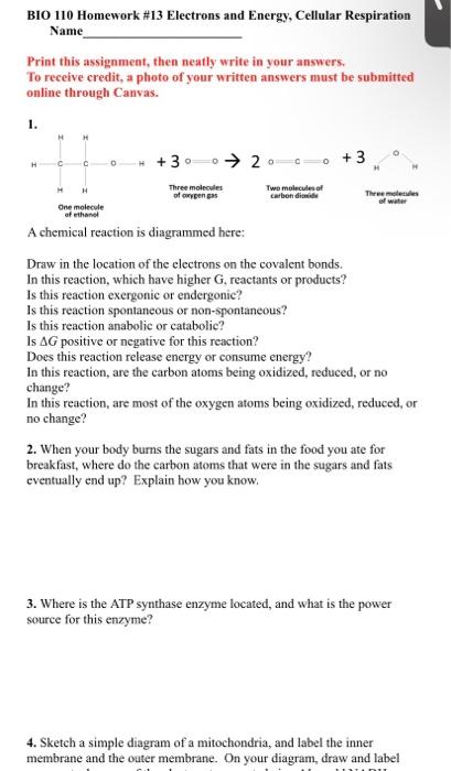 Solved BIO 110 Homework #13 Electrons and Energy, Cellular | Chegg.com