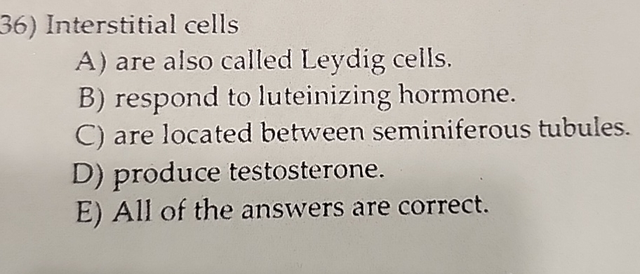 Solved Interstitial cellsA) ﻿are also called Leydig cells.B) | Chegg.com
