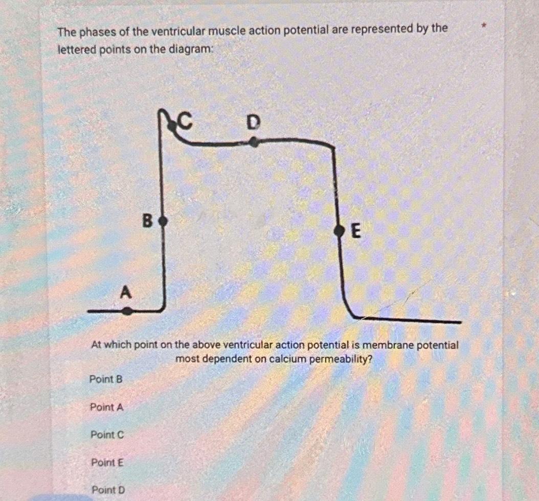 Solved The phases of the ventricular muscle action potential | Chegg.com