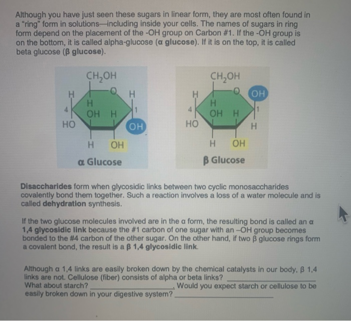 Solved Although you have just seen these sugars in linear | Chegg.com