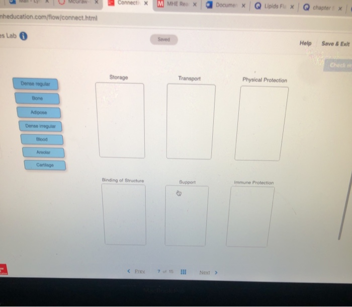 Solved Connect * M MHE Rex Documer * Q Lipids F X Q chapter | Chegg.com
