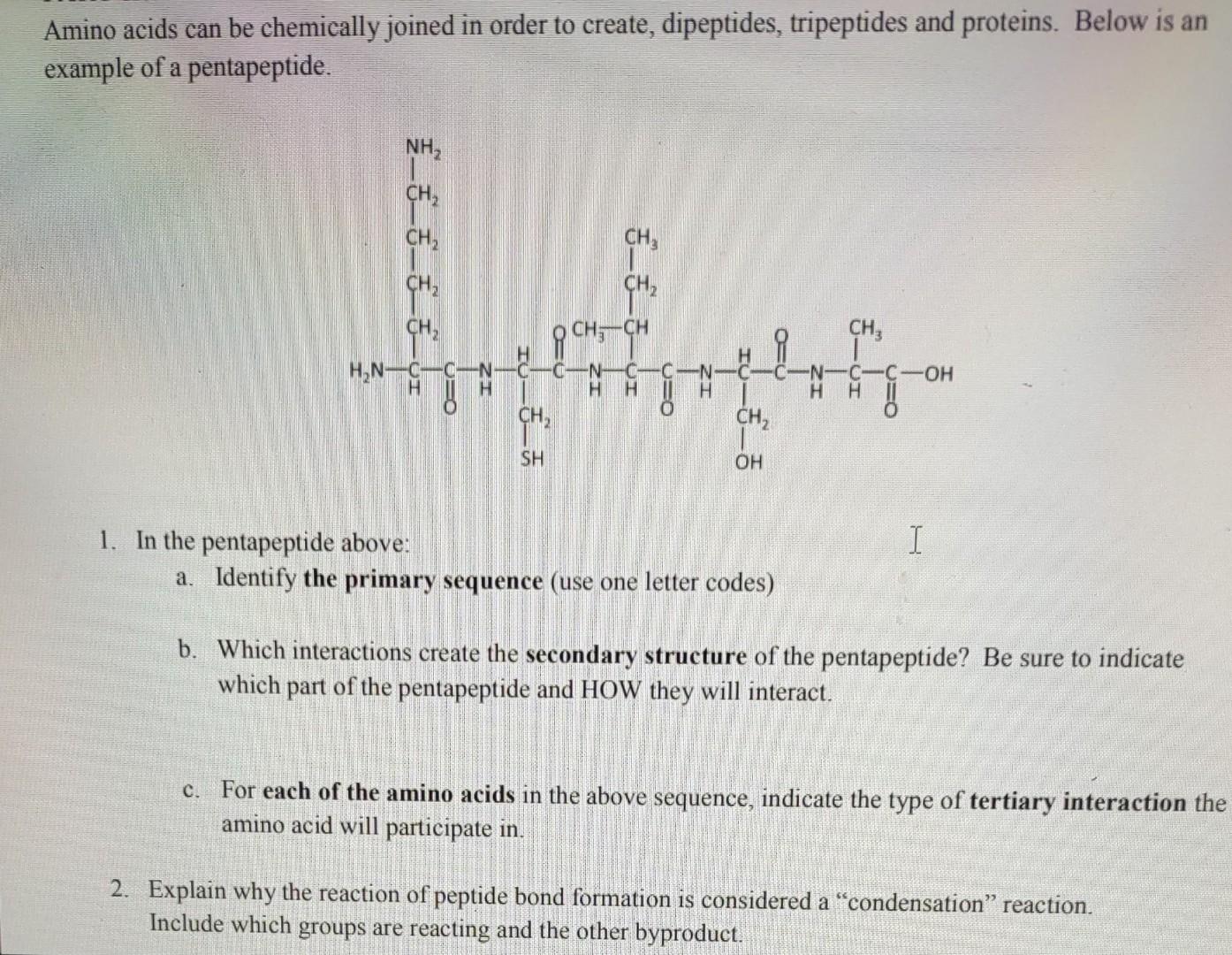 Solved Amino acids can be chemically joined in order to | Chegg.com